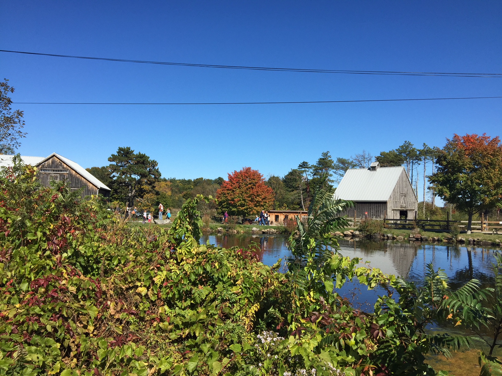 5 Best Massachusetts Orchards for Apple Picking - Travel Like a Local: MA