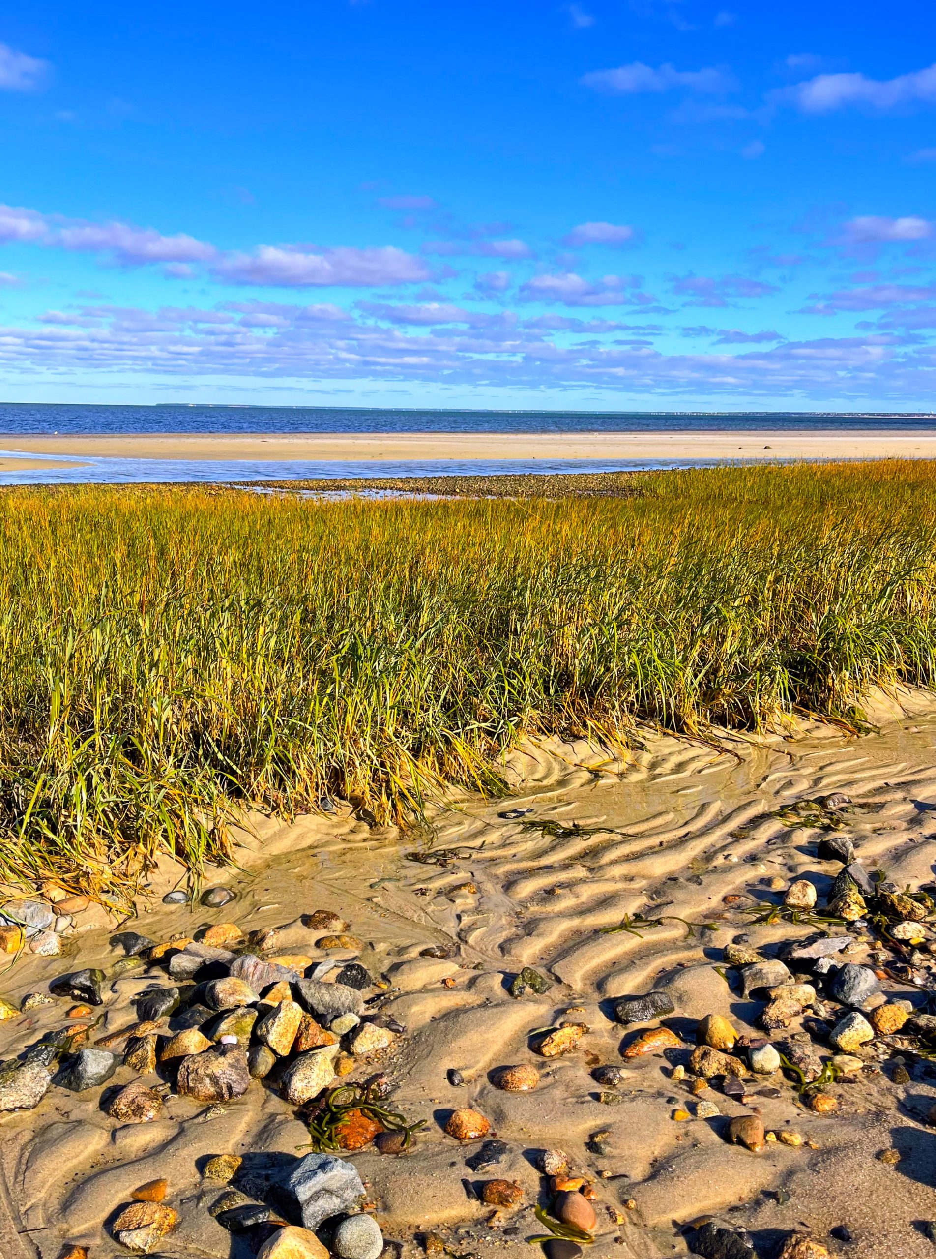 A Fall Cape Escape to Ocean Edge Resort on Cape Cod